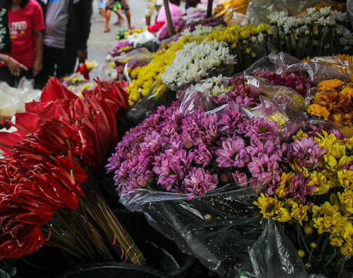 Palengke Boy - Home Page